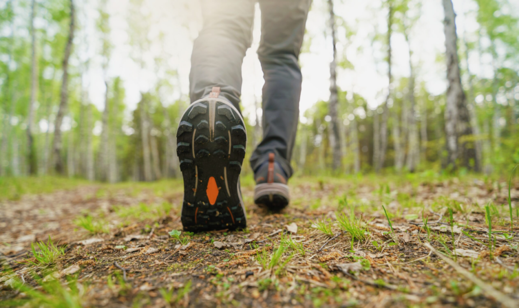 What is the Ideal Walking Speed? Find Your Speed Sorted By Age