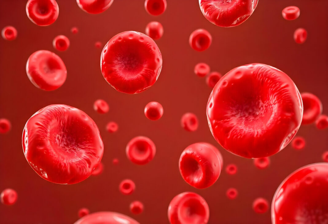 How salmon can affect your blood pressure