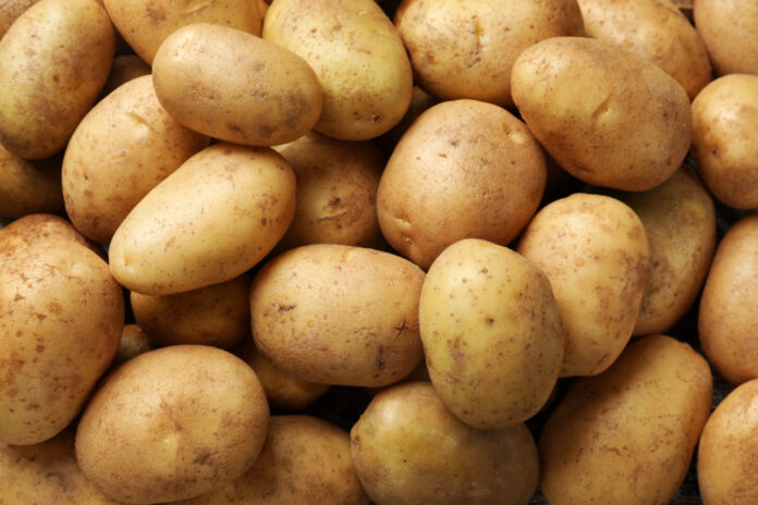 6 Moldy Foods You Must Throw Out Immediately – and 3 You Can Still Eat