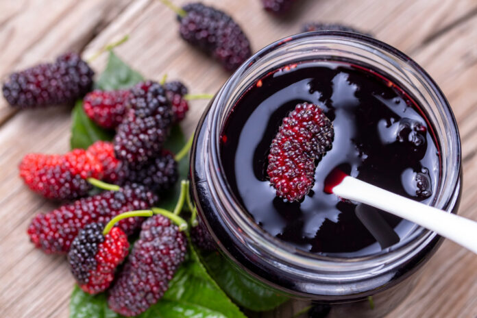 6 Moldy Foods You Must Throw Out Immediately – and 3 You Can Still Eat