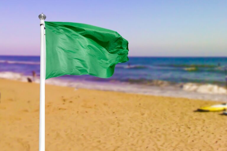 10 Beach Flags You Need to Know Before Diving Into the Waves