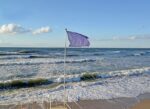 10 Beach Flags You Need to Know Before Diving Into the Waves