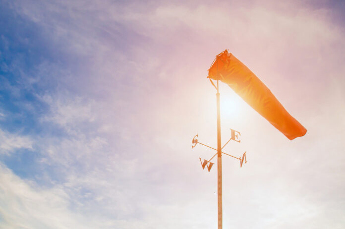 10 Beach Flags You Need to Know Before Diving Into the Waves