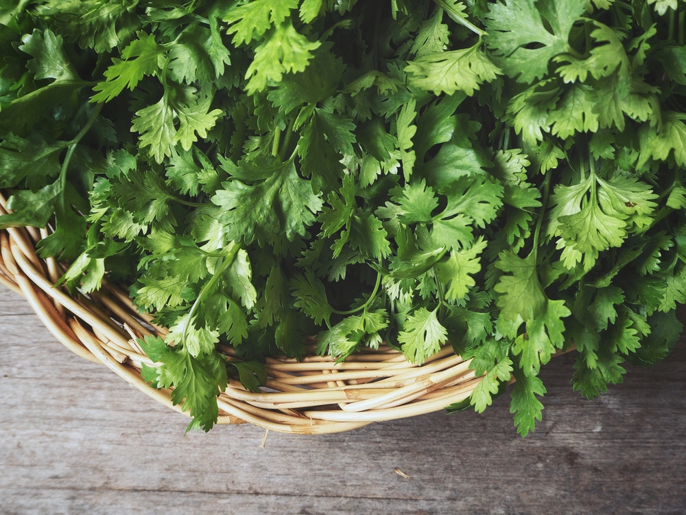 This is what happens to your body if you eat coriander every day